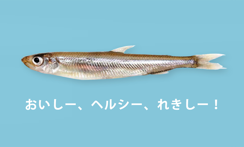 ワカサギ | あんしんサービス | 「山中湖のあんしんの窓口」